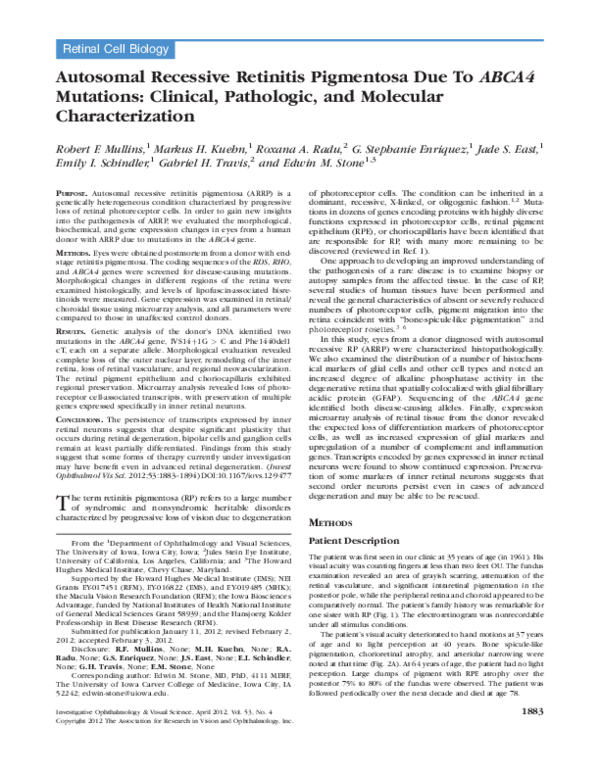 (PDF) Autosomal Recessive Retinitis Pigmentosa Due to ABCA4 Mutations ...