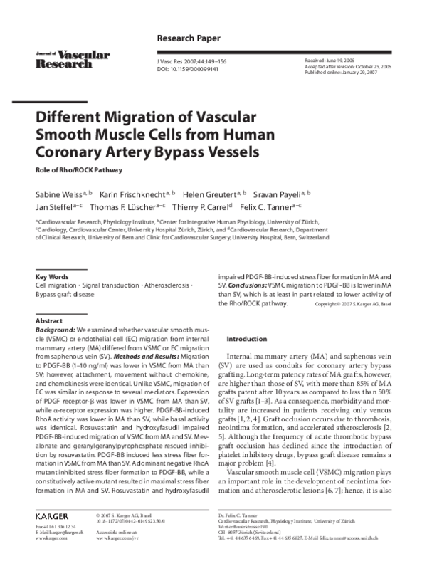 (PDF) Different Migration of Vascular Smooth Muscle Cells from Human ...