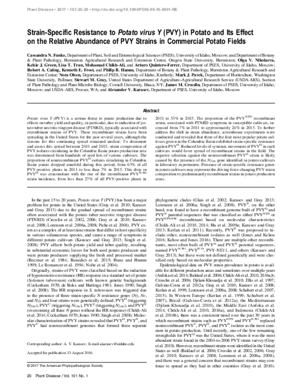 (PDF) Strain-Specific Resistance to Potato virus Y (PVY) in Potato and ...