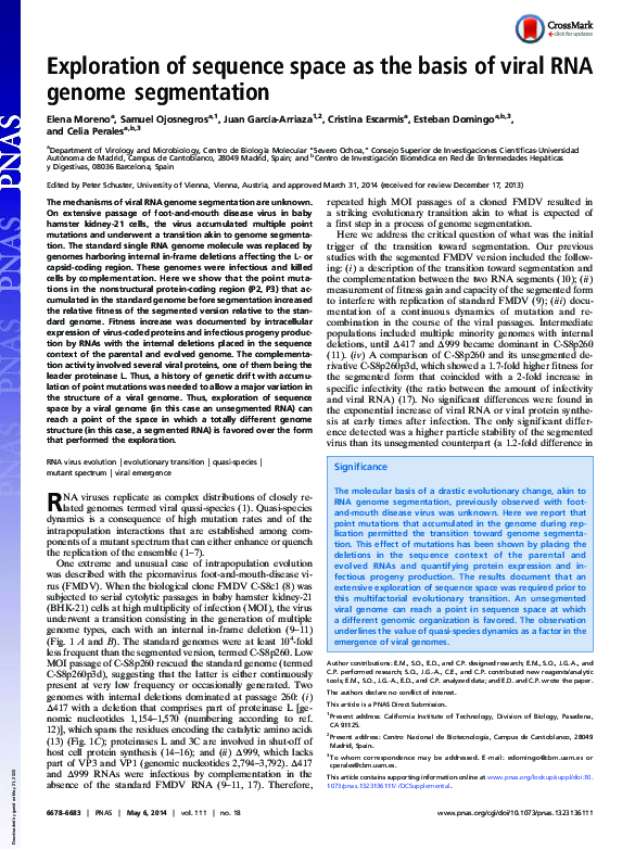 (PDF) Exploration of sequence space as the basis of viral RNA genome ...