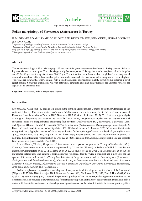 (PDF) Pollen morphology of Scorzonera (Asteraceae) in Turkey