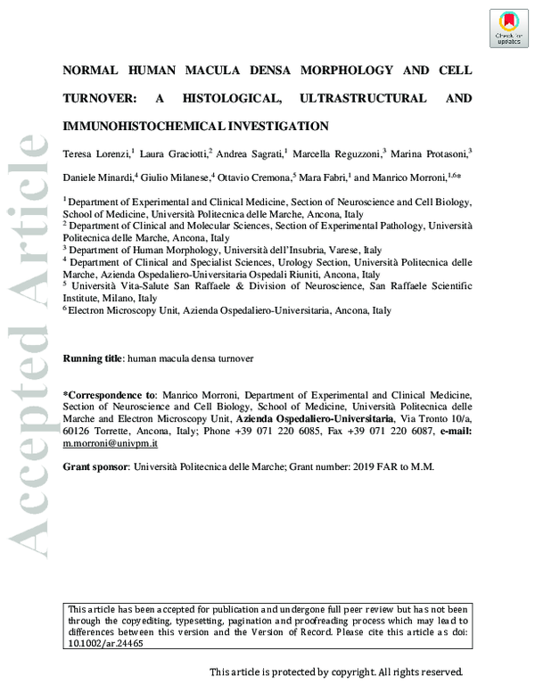 (PDF) Normal human macula densa morphology and cell turnover: A ...