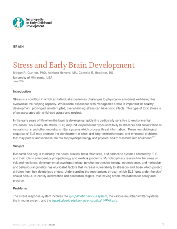 (PDF) Stress, Early Brain Development, and Behavior