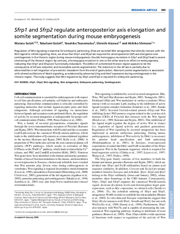 (PDF) Sfrp1andSfrp2regulate anteroposterior axis elongation and somite ...