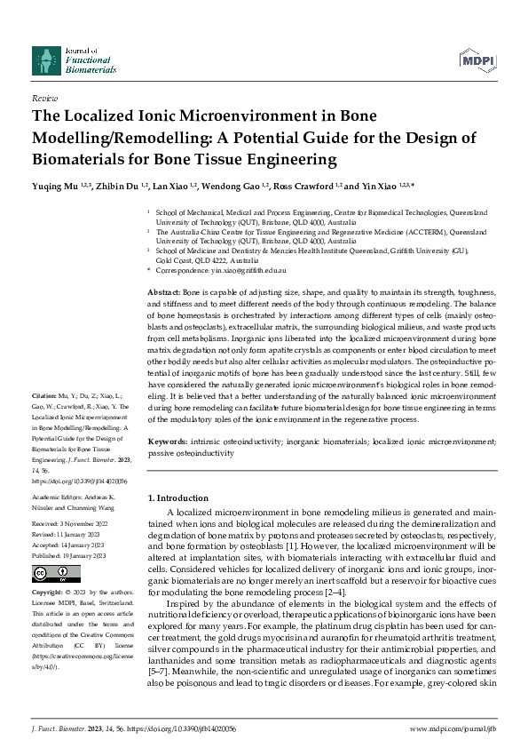 (PDF) The Localized Ionic Microenvironment in Bone Modelling ...