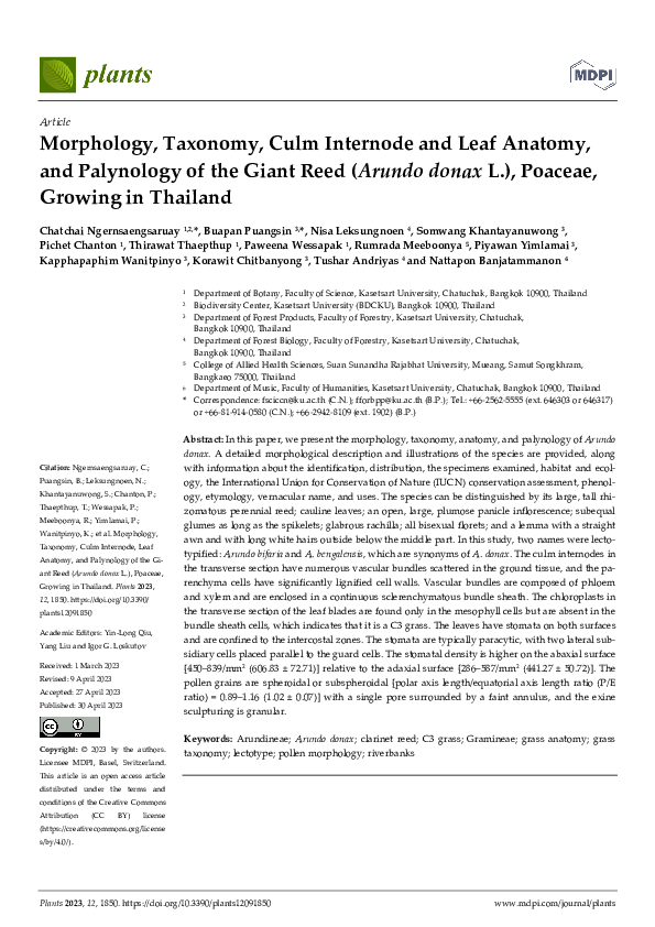 (PDF) Morphology, Taxonomy, Culm Internode and Leaf Anatomy, and ...