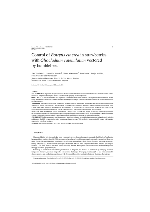 (PDF) Control of Botrytis cinerea in strawberries with Gliocladium ...