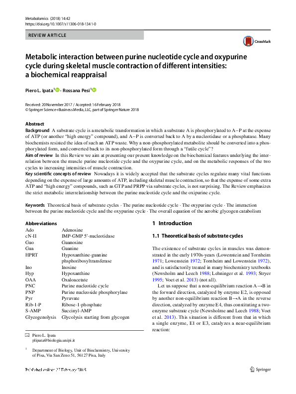 (PDF) Metabolic interaction between purine nucleotide cycle and oxypurine cycle during skeletal ...