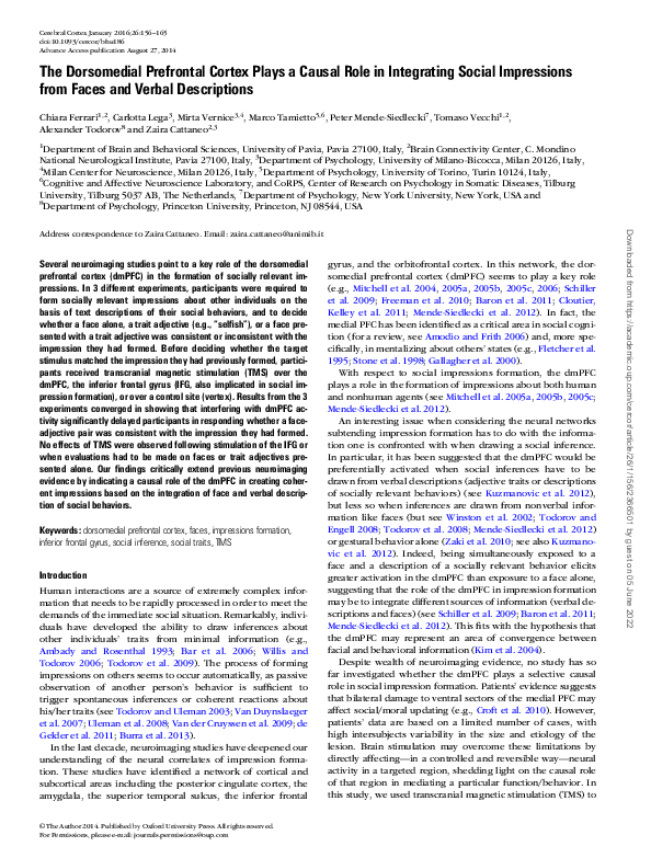 (PDF) The Dorsomedial Prefrontal Cortex Plays a Causal Role in ...