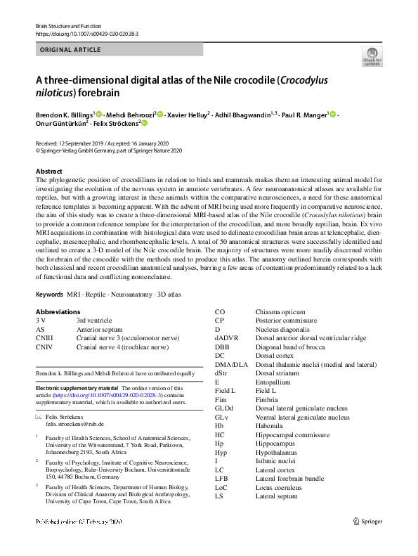 (PDF) A three-dimensional digital atlas of the Nile crocodile ...