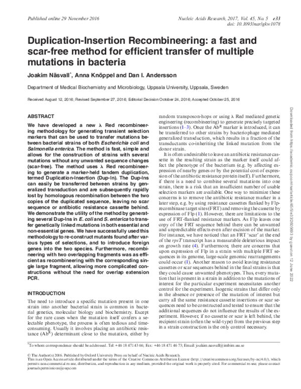 Pdf Duplication Insertion Recombineering A Fast And Scar Free Method