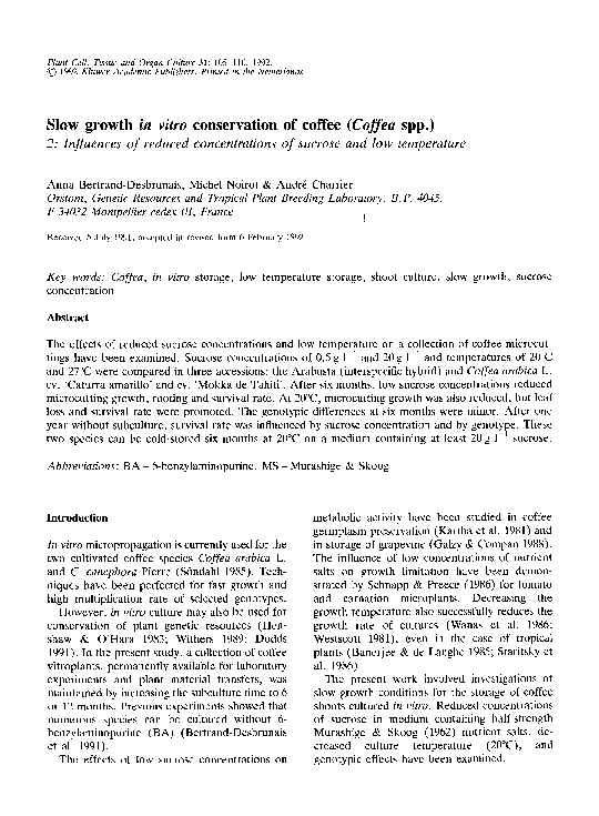 (PDF) Slow growth in vitro conservation of coffee (Coffea spp.)