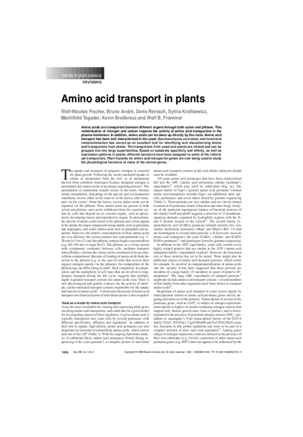 (PDF) Amino acid transport in plants