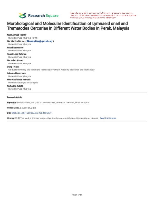 (PDF) Morphological and Molecular Identification of Lymnaeid snail and ...
