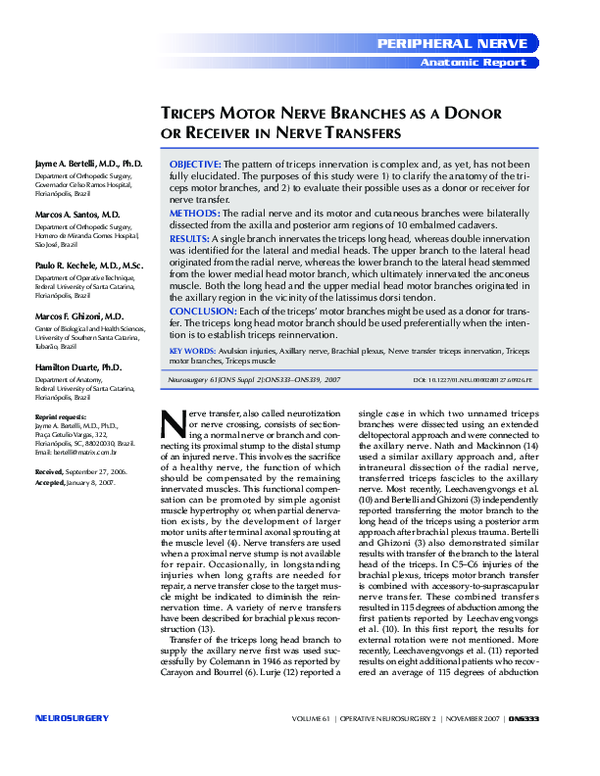 (PDF) Triceps Motor Nerve Branches as a Donor or Receiver in Nerve ...