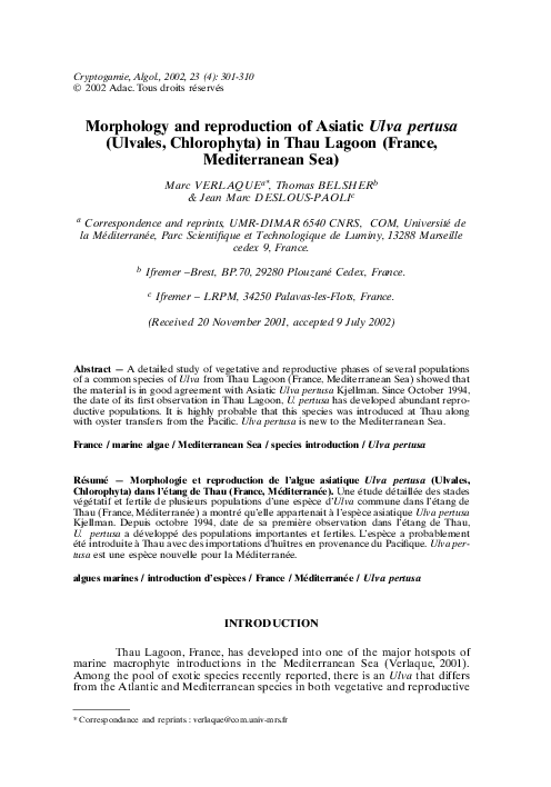 (PDF) Morphology and reproduction of Asiatic Ulva pertusa (Ulvales ...