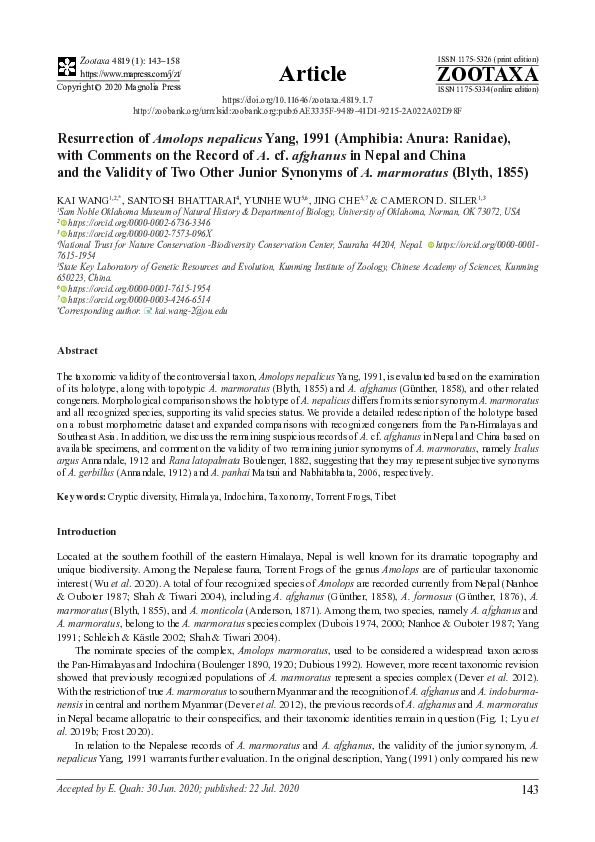 (PDF) Resurrection of Amolops nepalicus Yang, 1991 (Amphibia: Anura ...