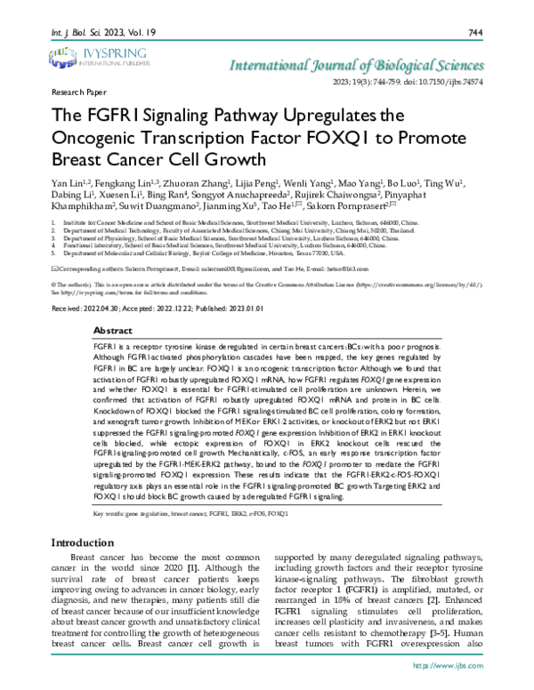 (PDF) The FGFR1 Signaling Pathway Upregulates the Oncogenic ...