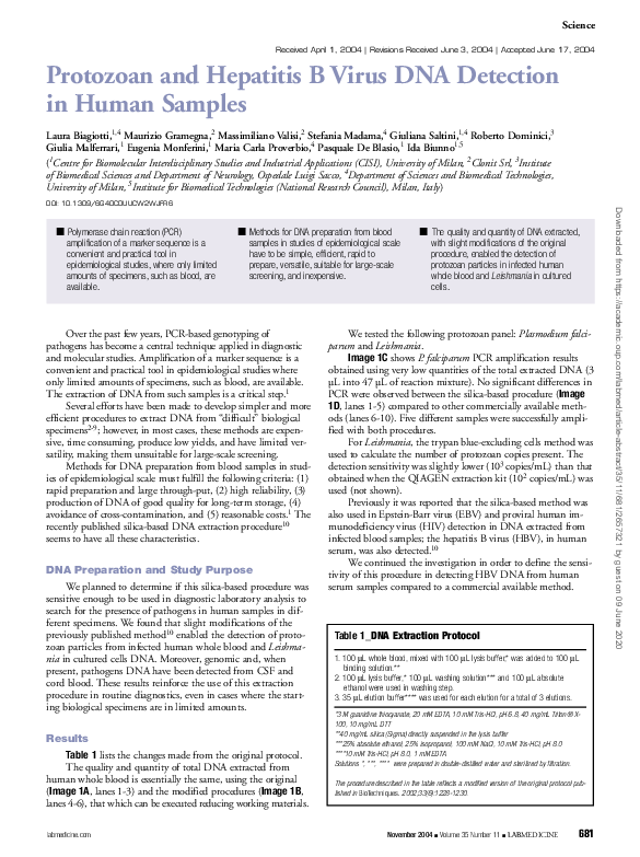 (PDF) Protozoan and Hepatitis B Virus DNA Detection in Human Samples
