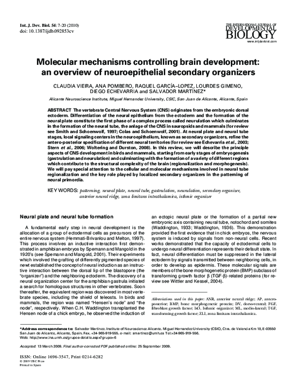 (PDF) Molecular mechanisms controlling brain development: an overview ...