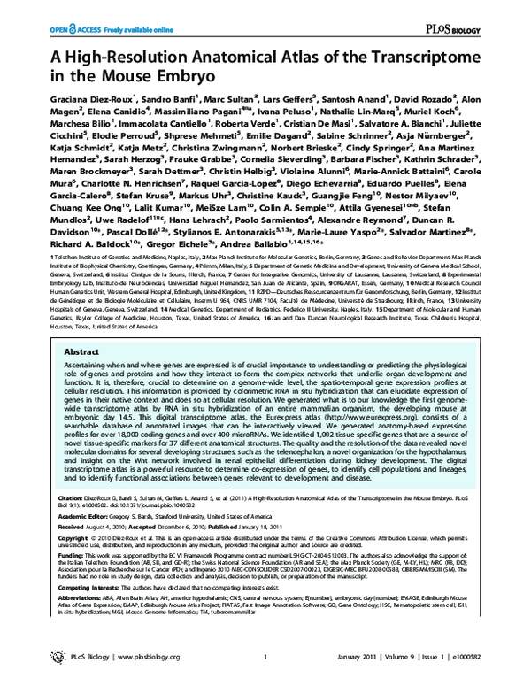 (PDF) A High-Resolution Anatomical Atlas of the Transcriptome in the ...