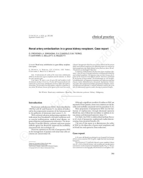 (PDF) Renal artery embolization in a gross kidney neoplasm. Case report