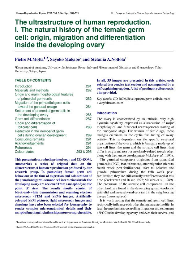 (PDF) The ultrastructure of human reproduction. 1. The natural history ...