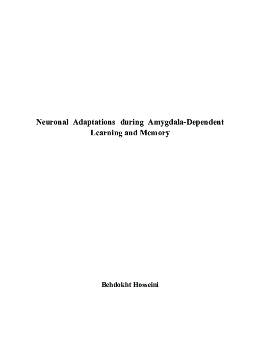 (PDF) Neuronal Adaptations during Amygdala-Dependent Learning and Memory | Behdokht Hosseini ...