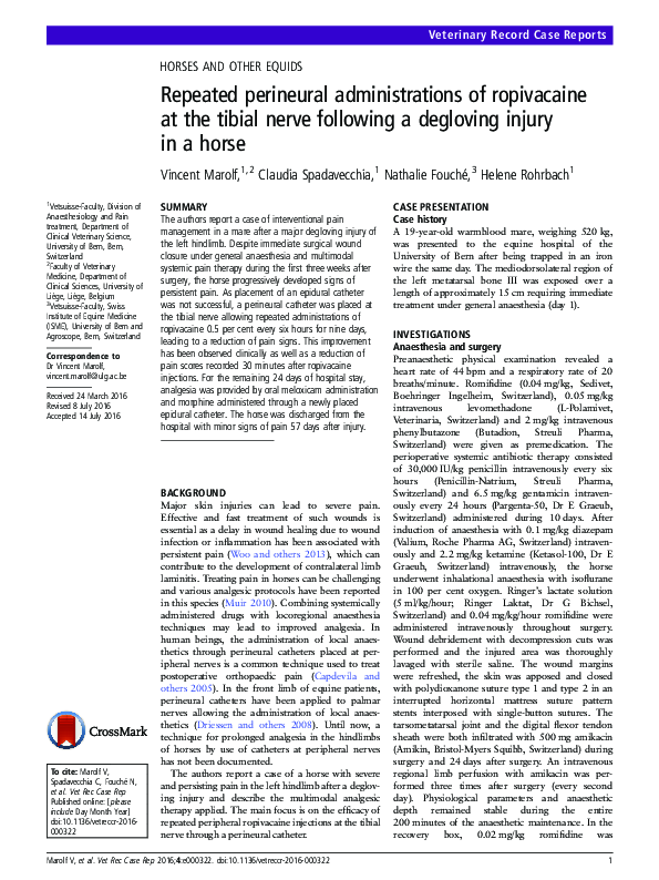 (PDF) Repeated perineural administrations of ropivacaine at the tibial ...