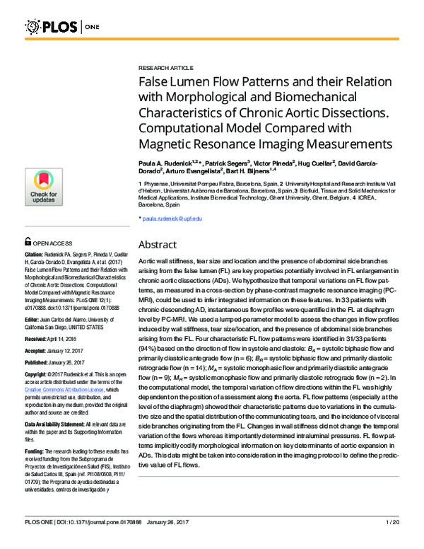 (PDF) False Lumen Flow Patterns and their Relation with Morphological ...