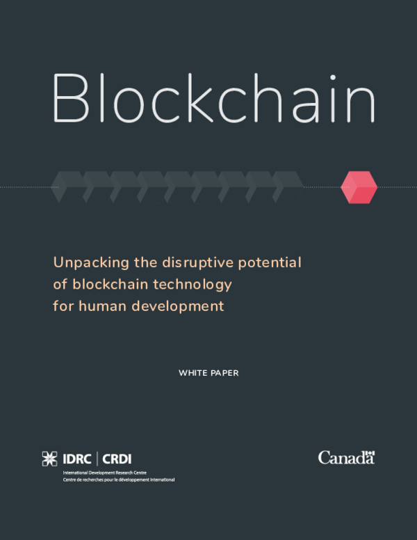 (PDF) Unpacking the disruptive potential of blockchain technology for human development