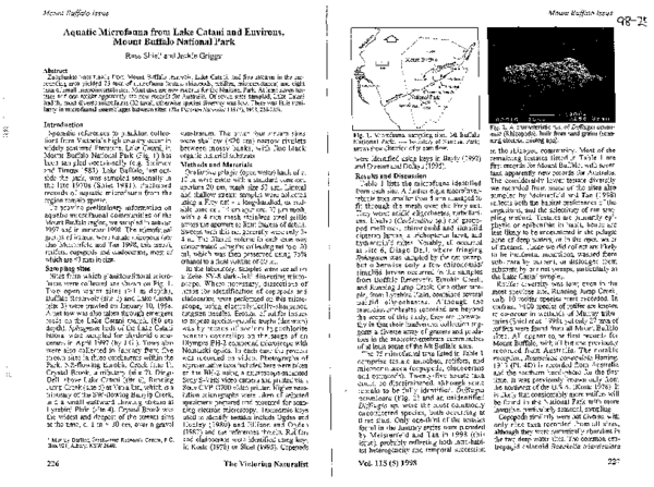 (PDF) Aquatic microfauna from Lake Catani and environs, Mount Buffalo ...