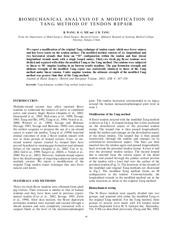 (PDF) Biomechanical Analysis of a Modification of Tang Method of Tendon ...
