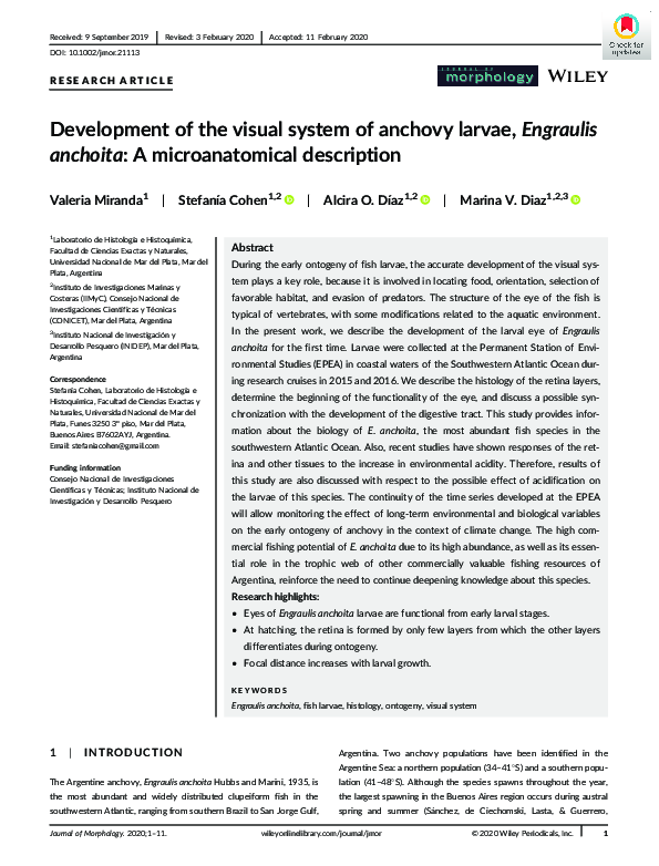 (PDF) Development of the visual system of anchovy larvae, Engraulis ...