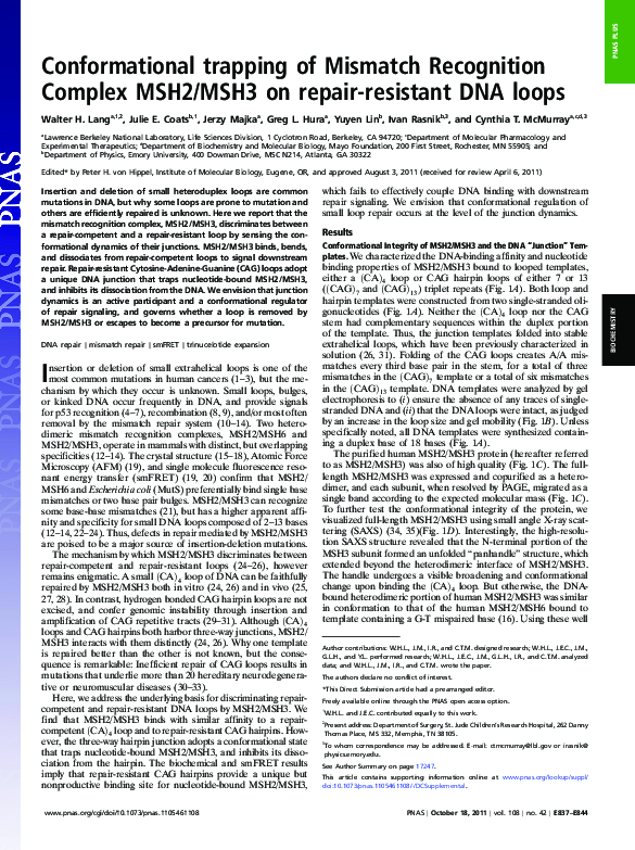 (PDF) Conformational trapping of Mismatch Recognition Complex MSH2/MSH3 ...