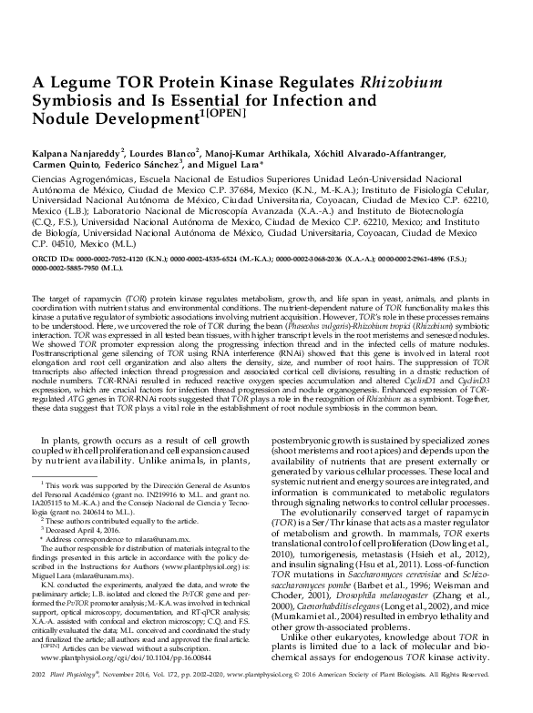(PDF) A Legume TOR Protein Kinase Regulates Rhizobium Symbiosis and Is ...