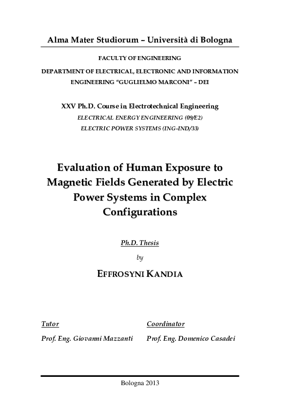 (PDF) Evaluation of Human Exposure to Magnetic Fields Generated by Electric Power Systems in ...