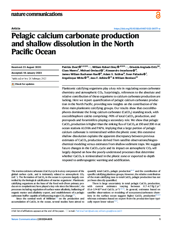 (PDF) Pelagic calcium carbonate production and shallow dissolution in ...