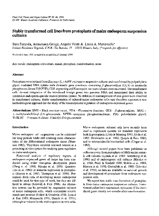 (PDF) Stably transformed cell lines from protoplasts of maize endosperm ...