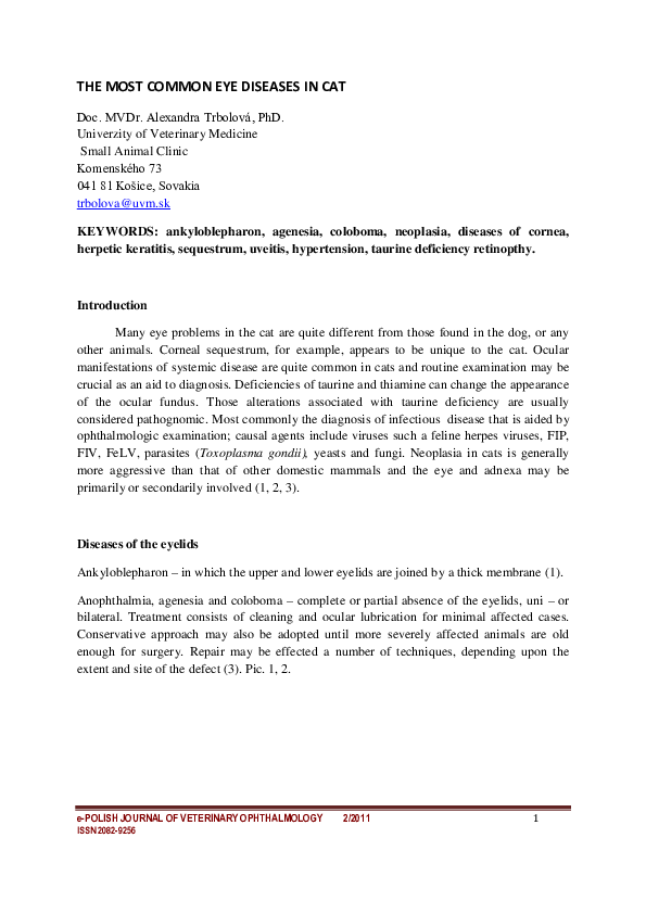 (PDF) The most common eye disease in cat