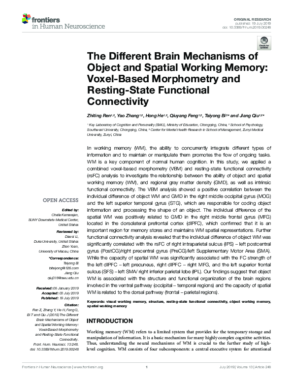 (PDF) The Different Brain Mechanisms of Object and Spatial Working Memory: Voxel-Based ...