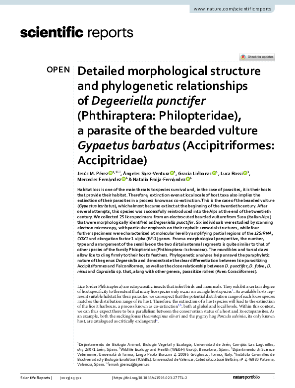 (PDF) Detailed morphological structure and phylogenetic relationships ...