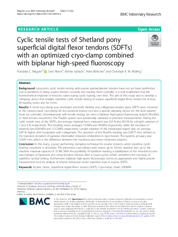 (PDF) Cyclic tensile tests of Shetland pony superficial digital flexor ...