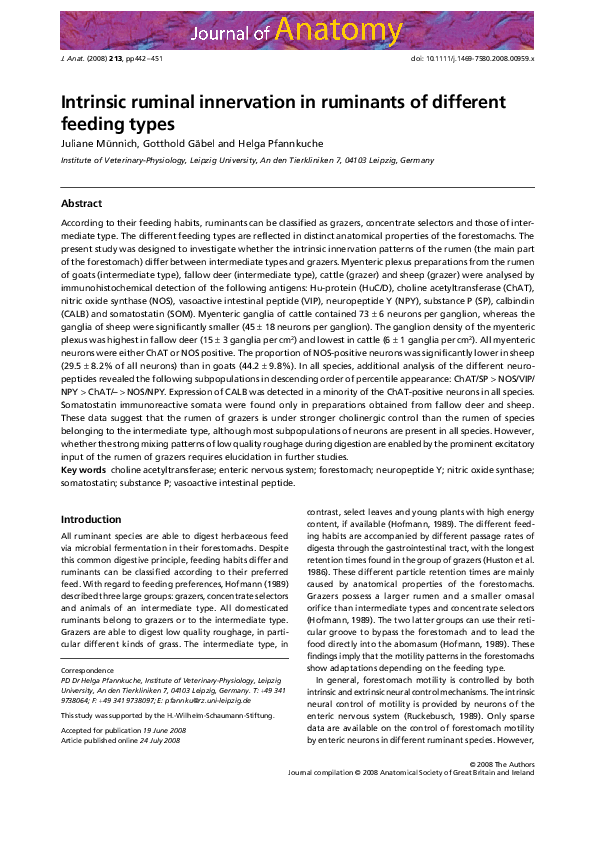 (PDF) Intrinsic ruminal innervation in ruminants of different feeding types