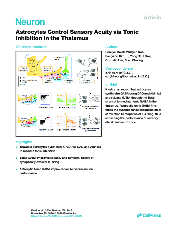 (PDF) Astrocytes Control Sensory Acuity via Tonic Inhibition in the ...