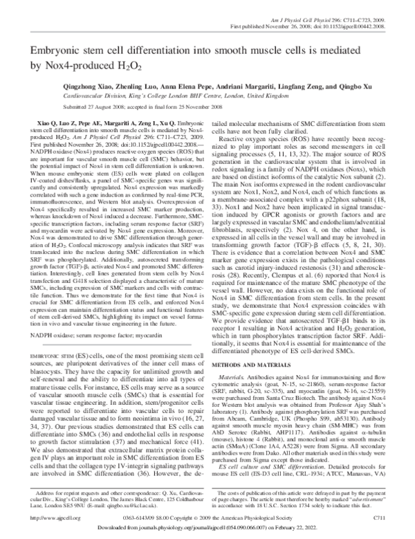 (PDF) Embryonic stem cell differentiation into smooth muscle cells is mediated by Nox4-produced ...