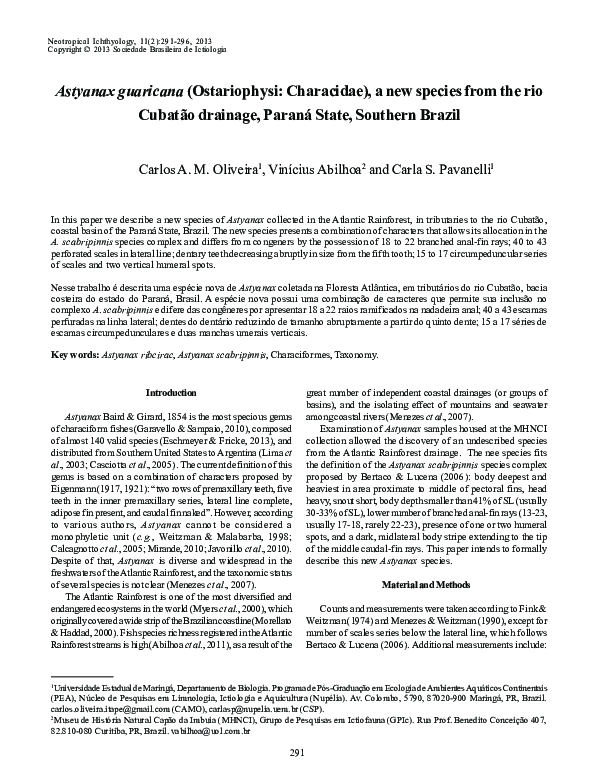 (PDF) Astyanax guaricana (Ostariophysi: Characidae), a new species from ...