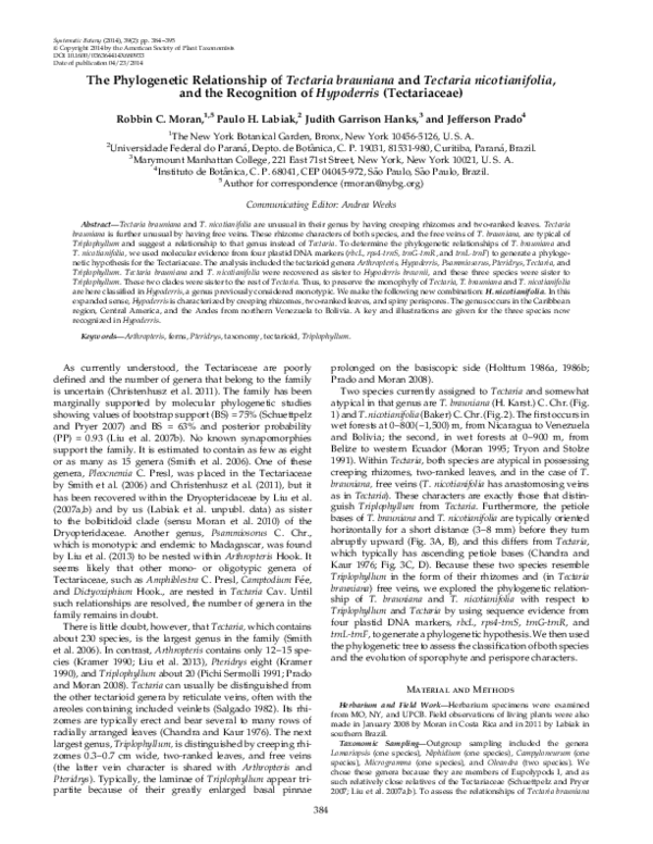 (PDF) The Phylogenetic Relationship of Tectaria brauniana and Tectaria ...