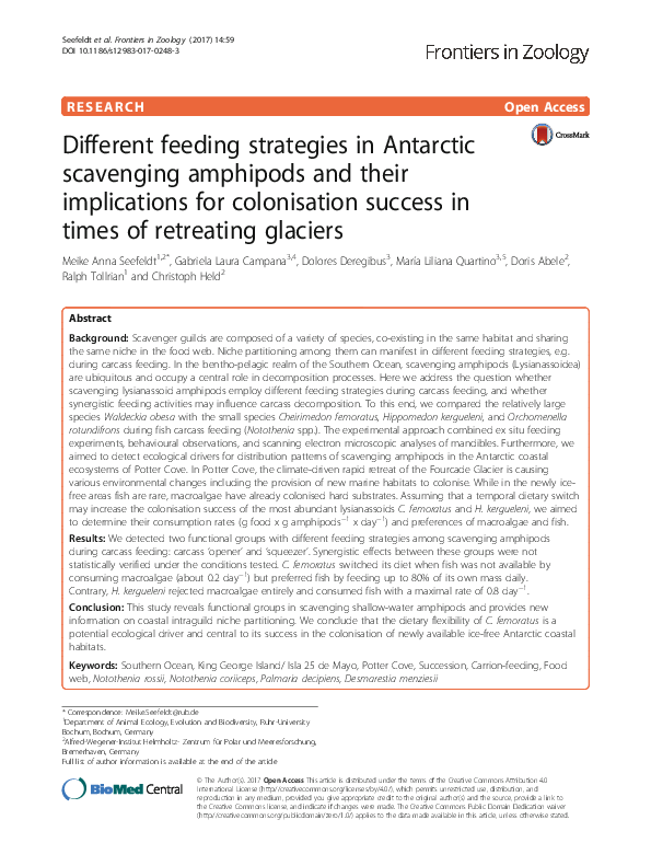 (PDF) Different feeding strategies in Antarctic scavenging amphipods ...