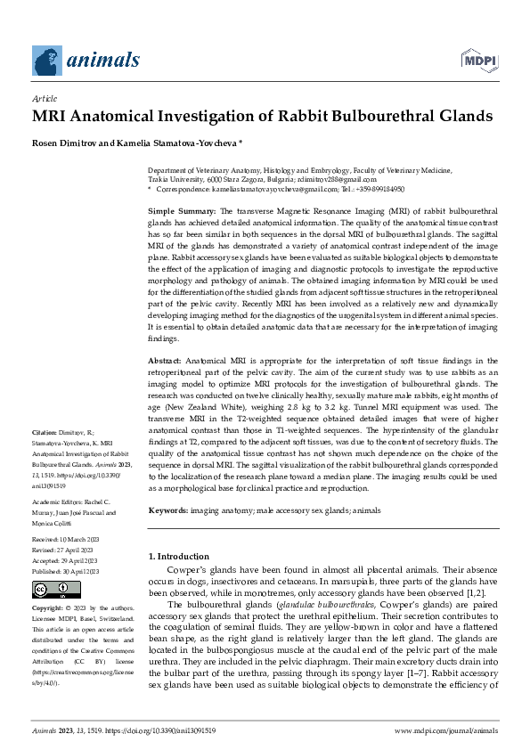 (PDF) MRI Anatomical Investigation of Rabbit Bulbourethral Glands ...